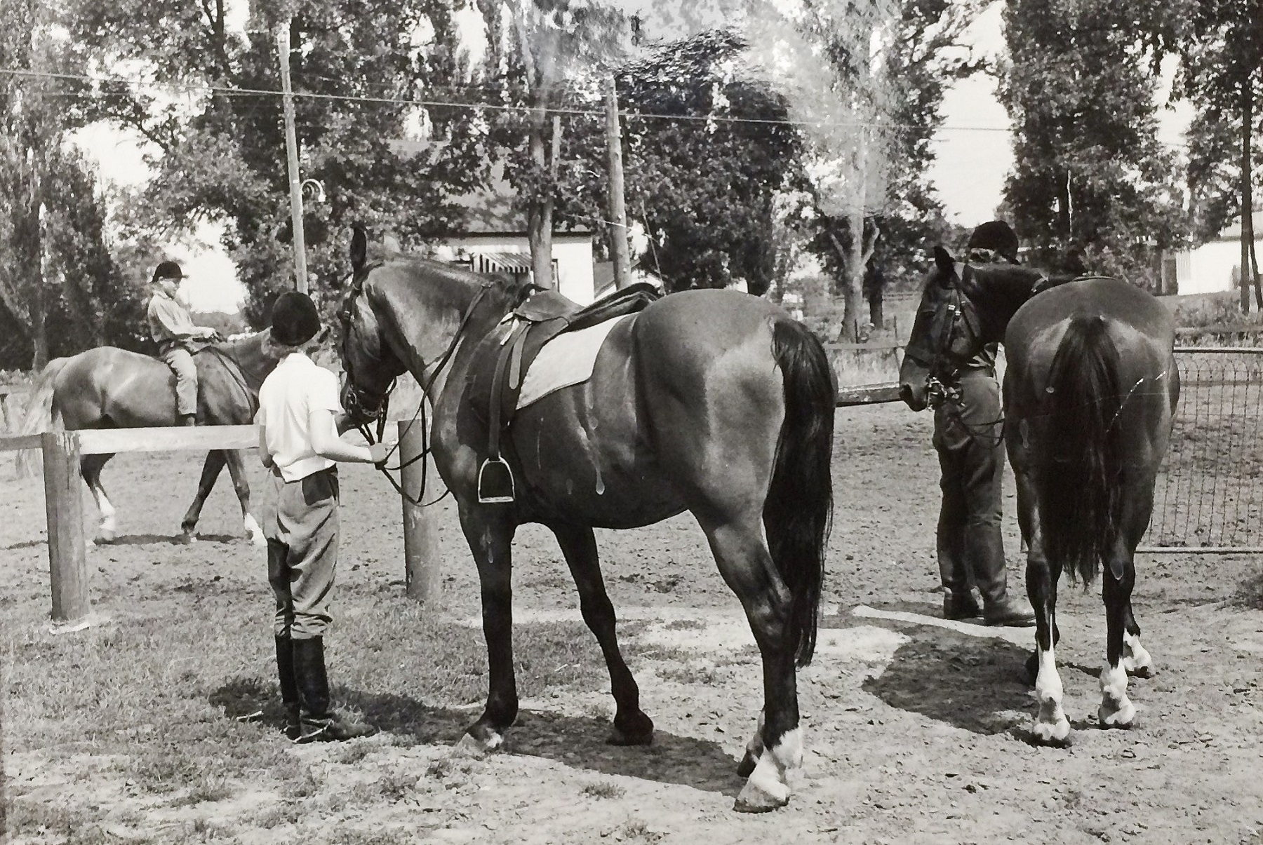 Une exposition agricole à Saint-Bruno - Découverte patrimoine et culture